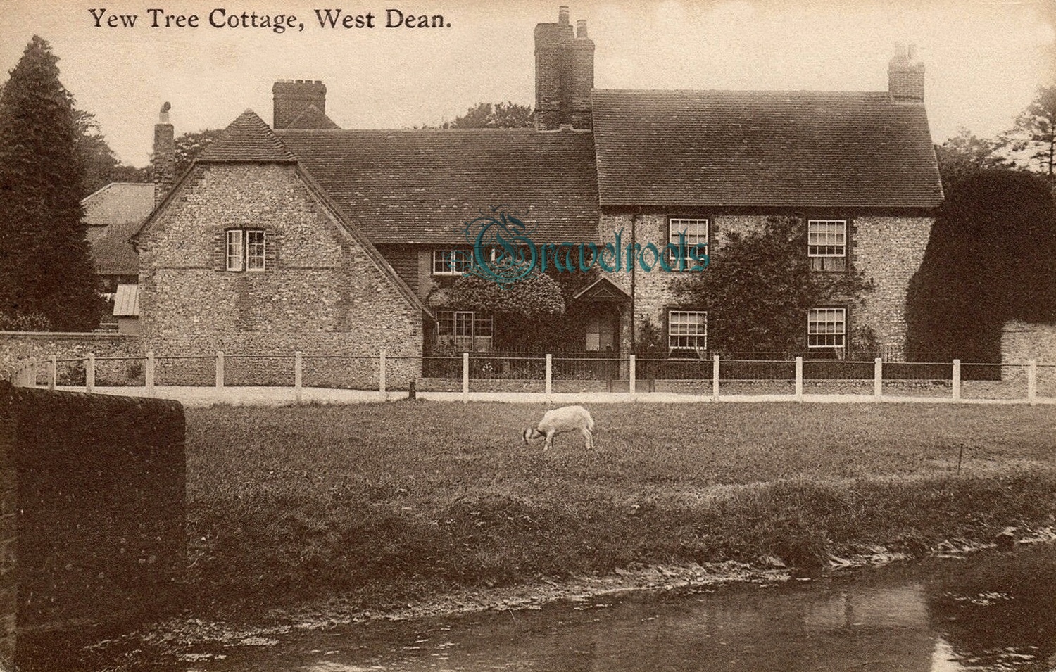 Ref540, Old photo of Yew Tree Cottage, West Dean, nr Singleton, Sussex ...