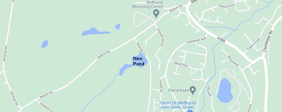 Ref-m870, - Old photos of New Pond, Midhurst history in pictures, part ...