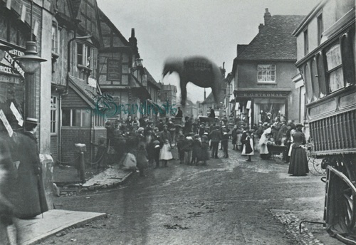 11_15 The Vintage Trail - Old photographs of Midhurst, West Sussex ...