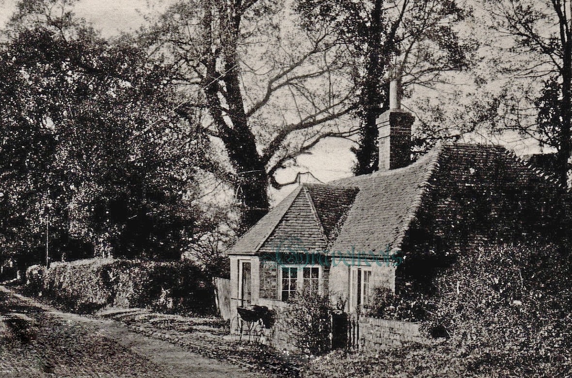 m319 old photos of Old Toll House, Petersfield Road, Midhurst part of ...