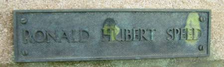 Petworth, Horsham Road Cemetery and Bombing of Boys School 1942 - part ...